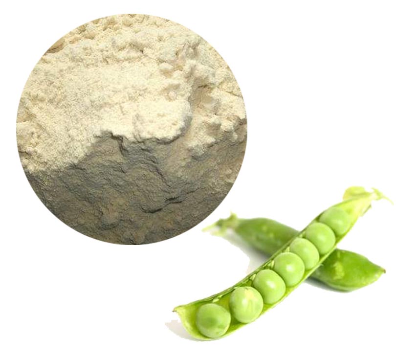 Vegetable Protein-YOUBIO plant protein extract manufacturer