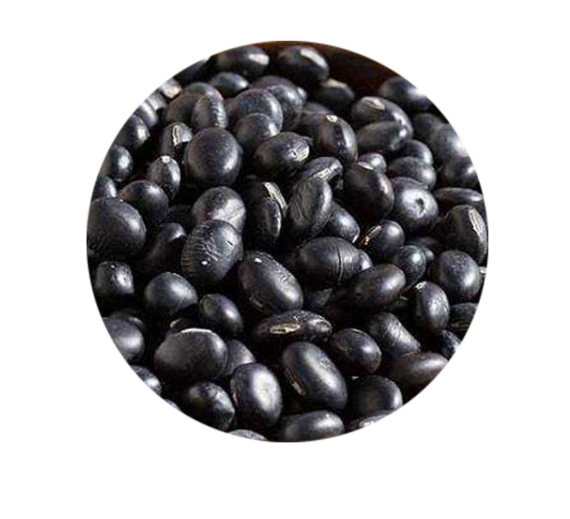 Black Bean Peel Extract Factory China