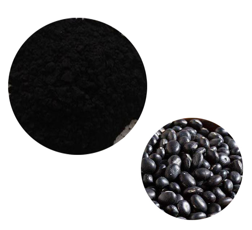 Black Bean Peel Extract Factory China