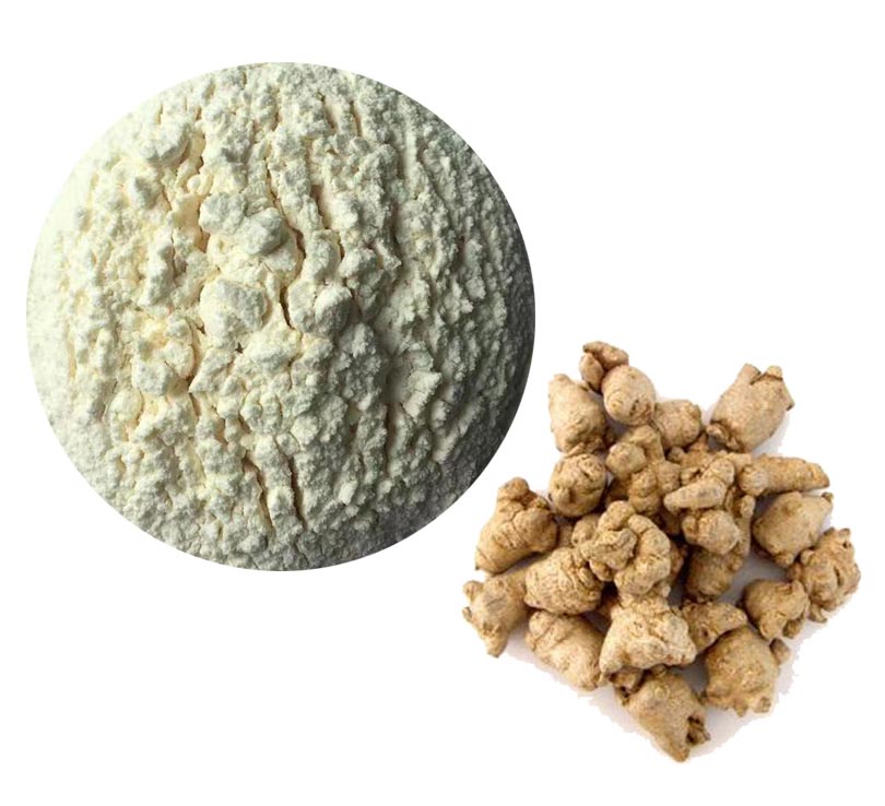 Panax Notoginseng Extract for Sale